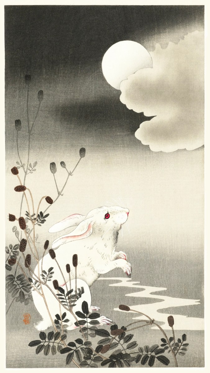 The Rabbit Prince – Hothouse
